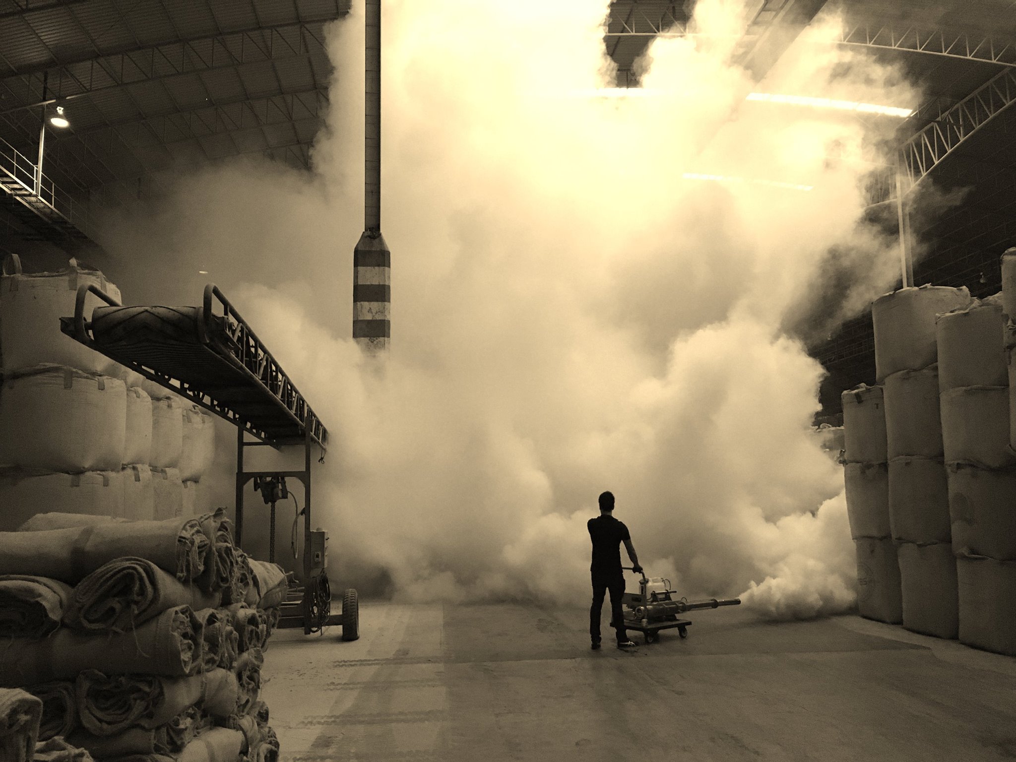 Fogging Equipment – Feathered Insights: Expert Bird Control Solutions ...