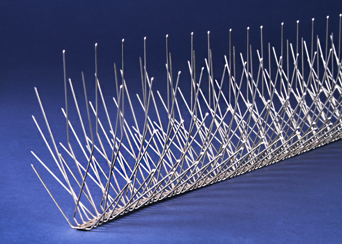 Bird Spikes & Bird Spike Accessories – Feathered Insights: Expert Bird ...