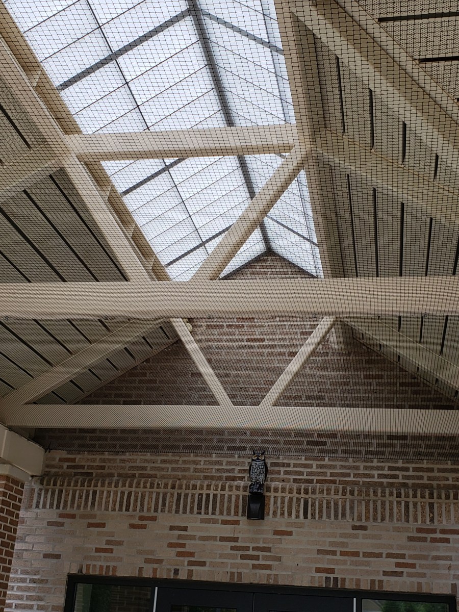 Sept ’18 Photo Contest Winners – Feathered Insights: Nixalite’s ...